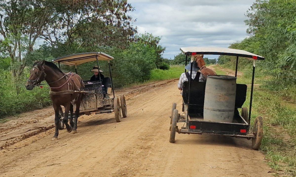 Wie verknöcherte Traditionen verblenden können (Daniel Neufeld ...